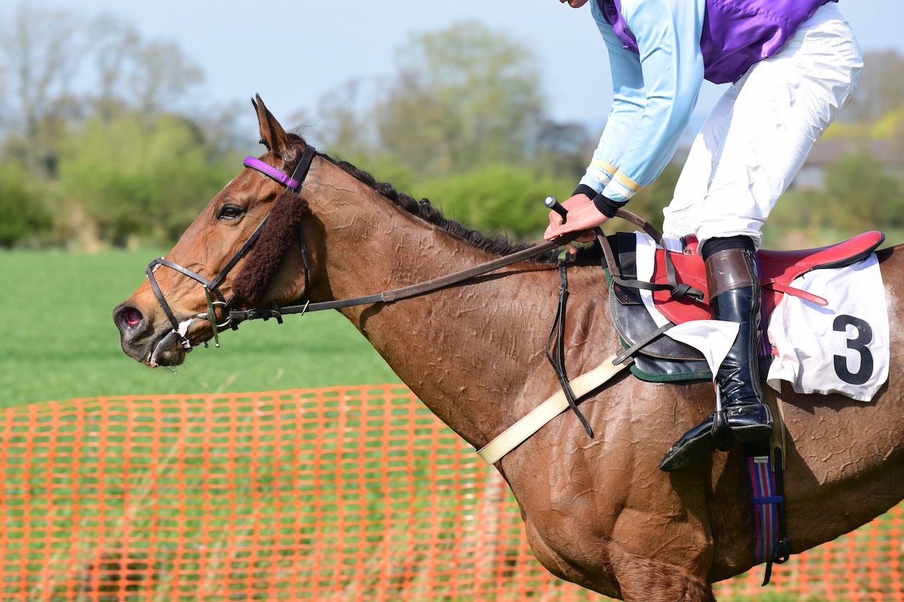 Grand National 2020 - Your Coach Hire
